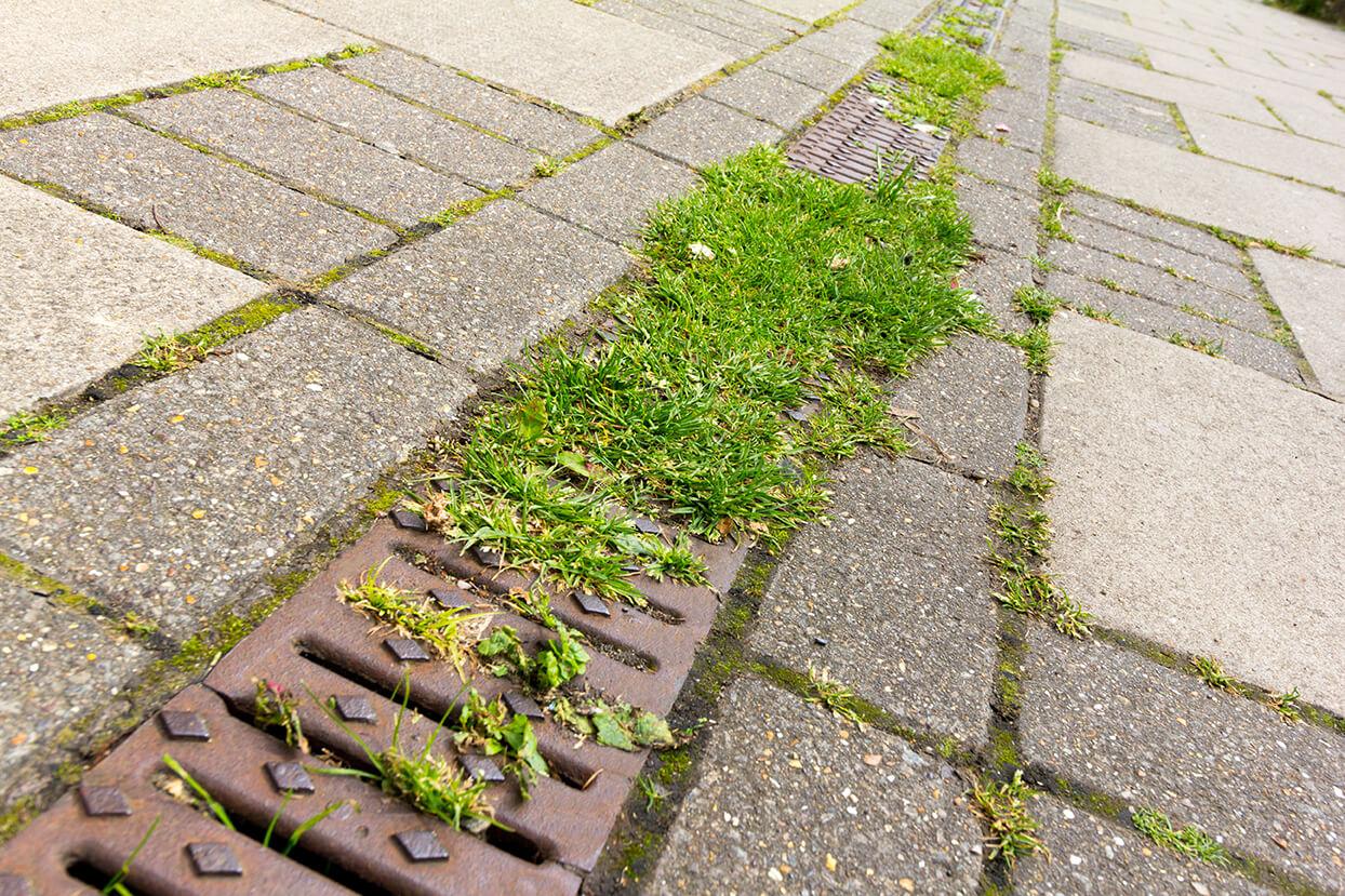 Canopy and Gully Cleaning UK | Coutrywide Grounds Maintenance