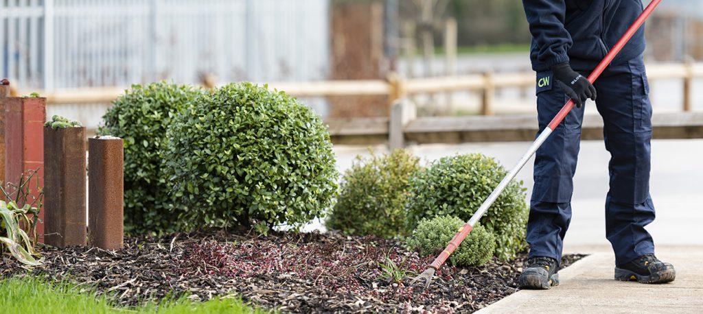 Planted Area Maintenance & Pruning Services | Coutrywide Grounds ...