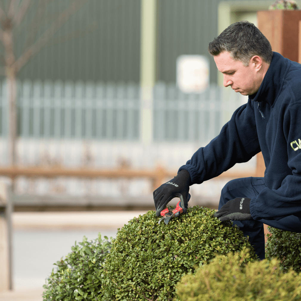 Landscaping for Social Housing Associations | Countrywide Grounds