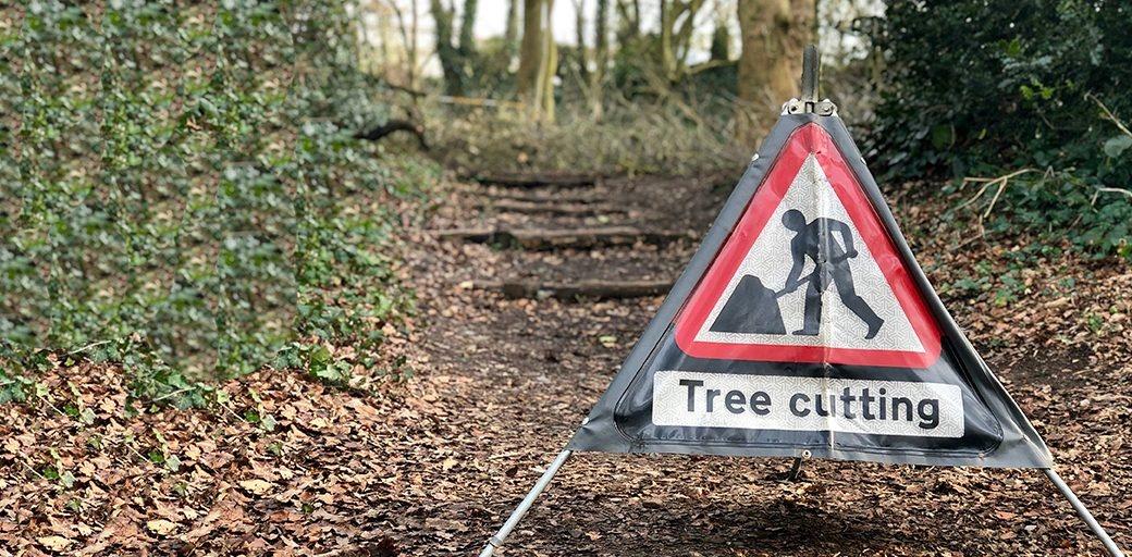 Tree Surveys and Preservation Orders UK | Coutrywide Grounds Maintenance